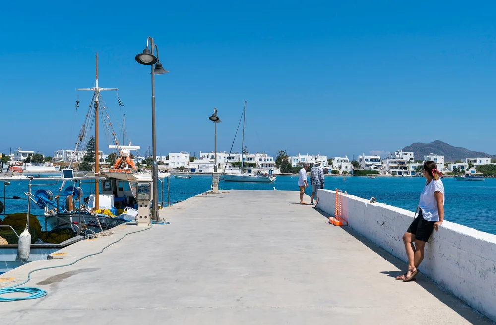 Fiona Rose Representation