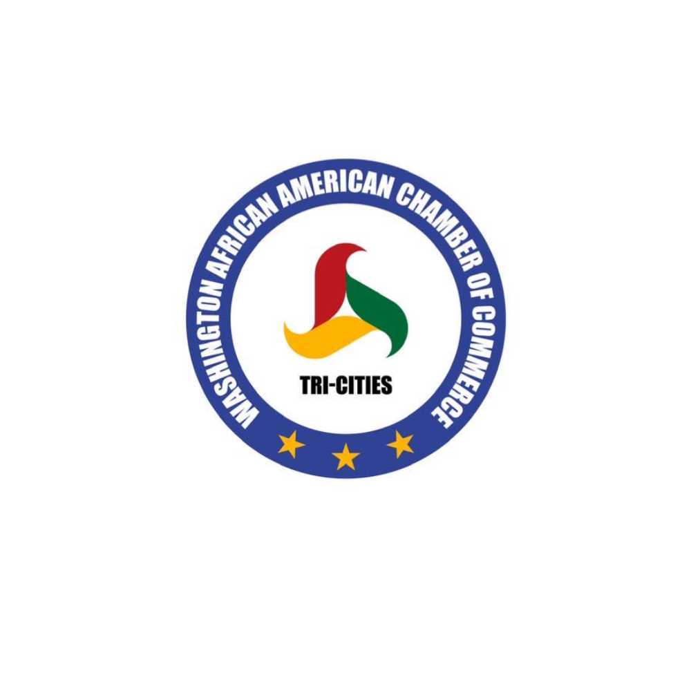 We Build Back Black Alliance (WBBA) - Empowering Black Communities for ...