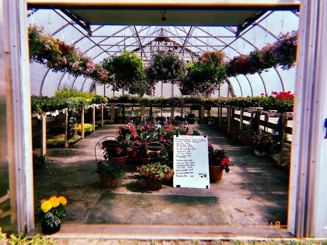 Schneider's Farm - Melville, NY