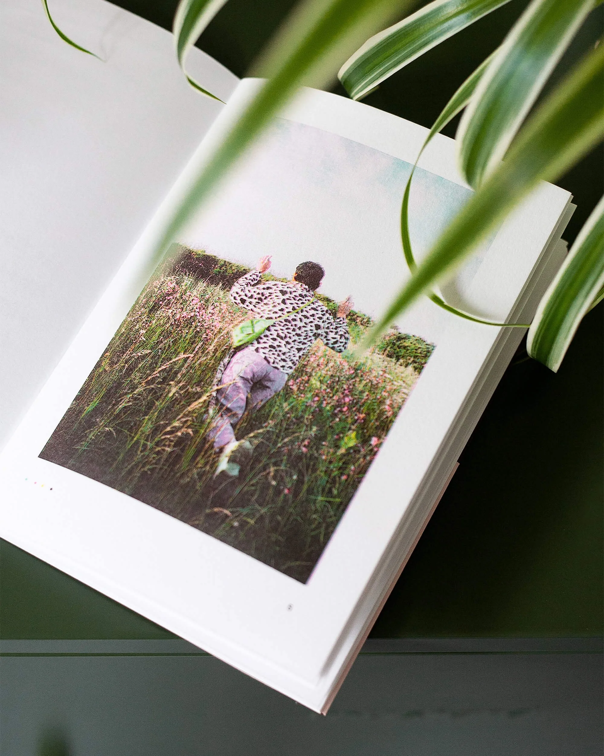 In Bloom — concrete nature