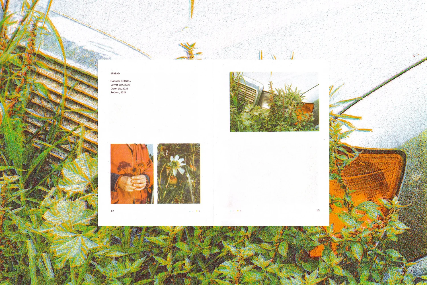 In Bloom — concrete nature