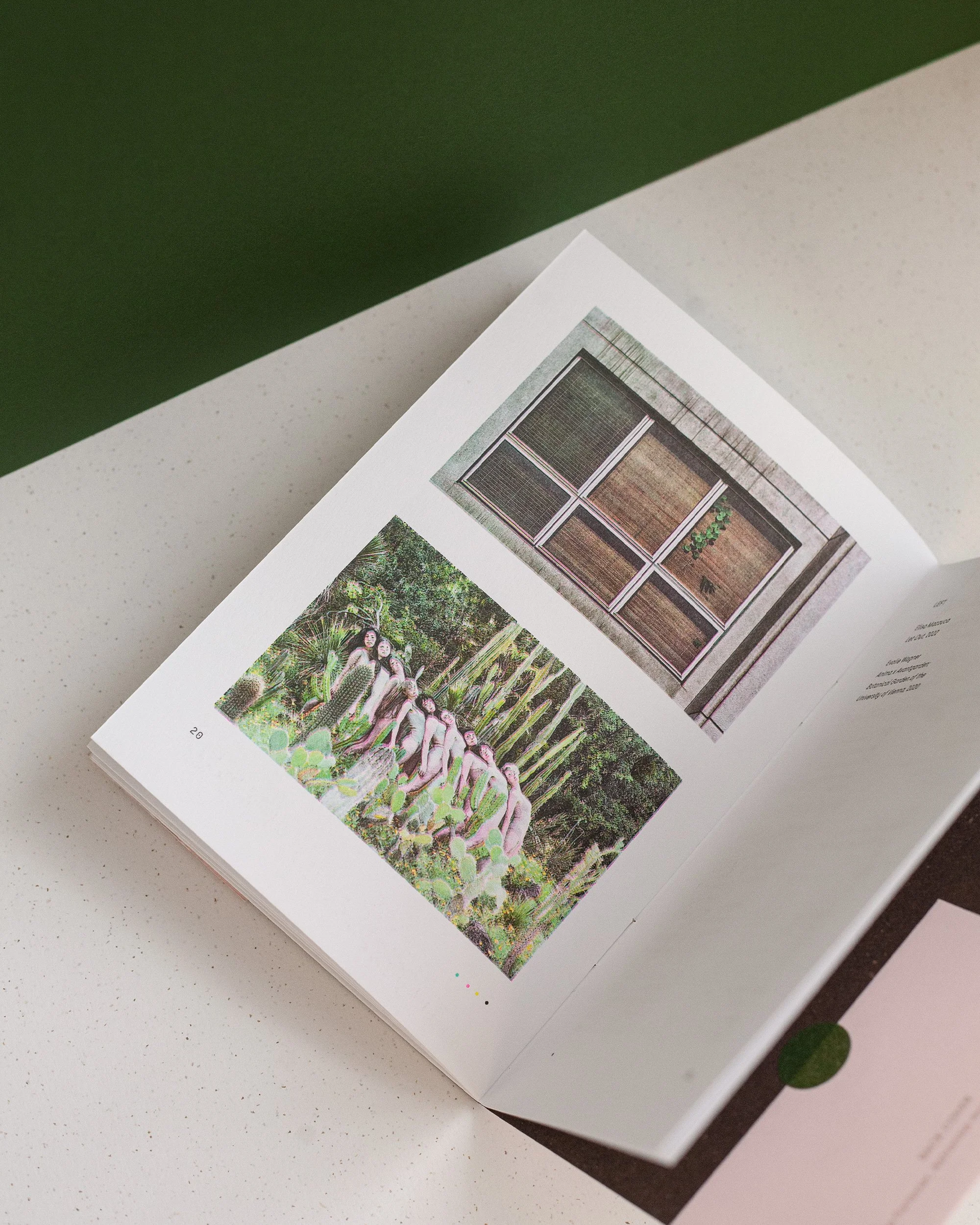 In Bloom — concrete nature