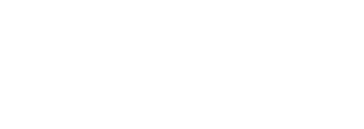 Green Wood Chair Making — Florence Hamer