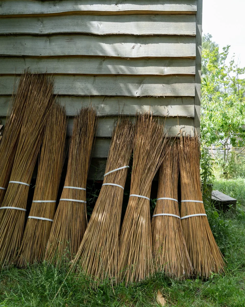 Shop — Florence Hamer