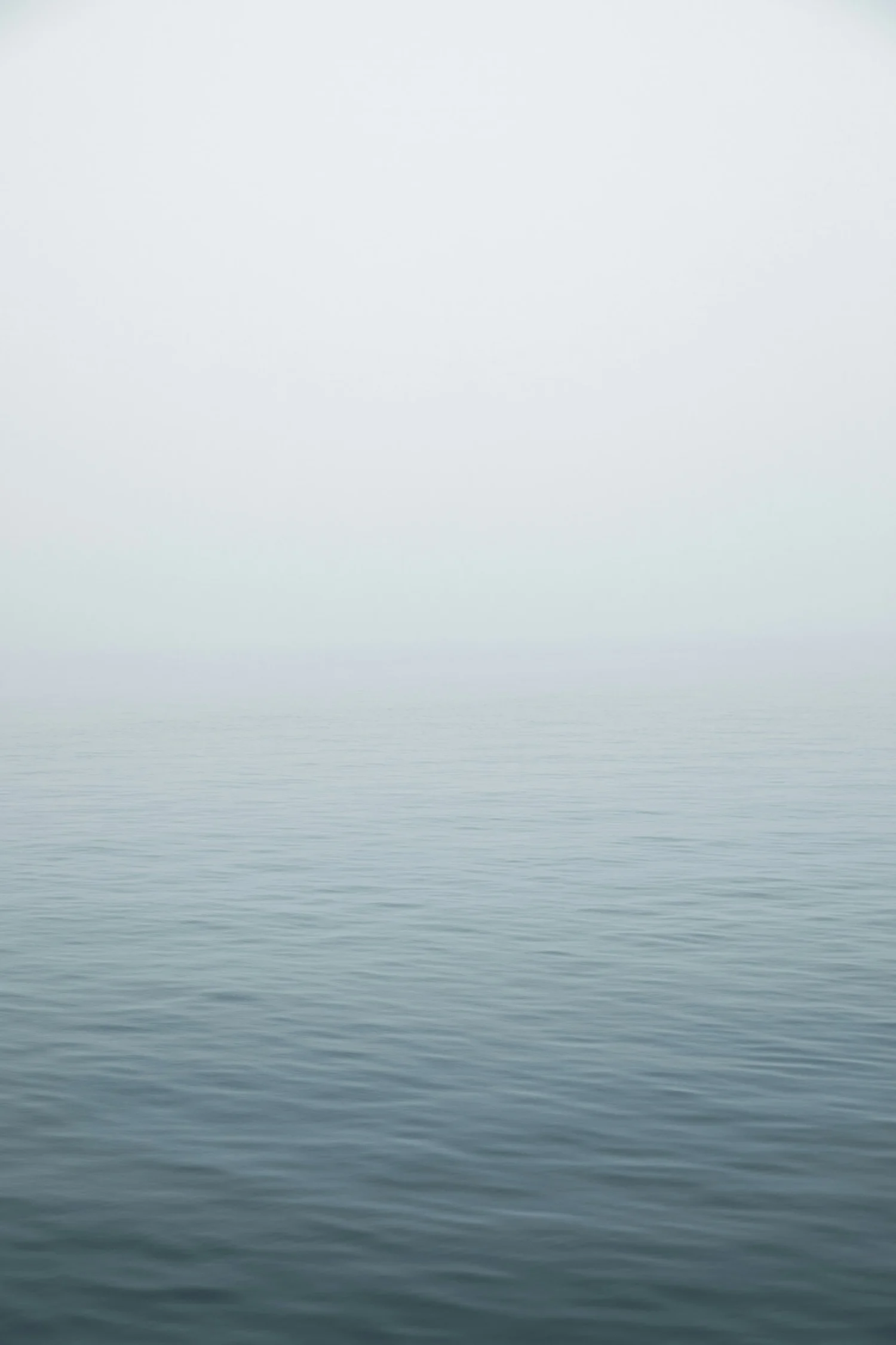 Services 1 — The Shoulder