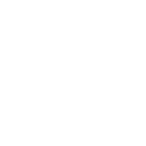 Lesson 1: What are the different fry cuts? — Frites Street