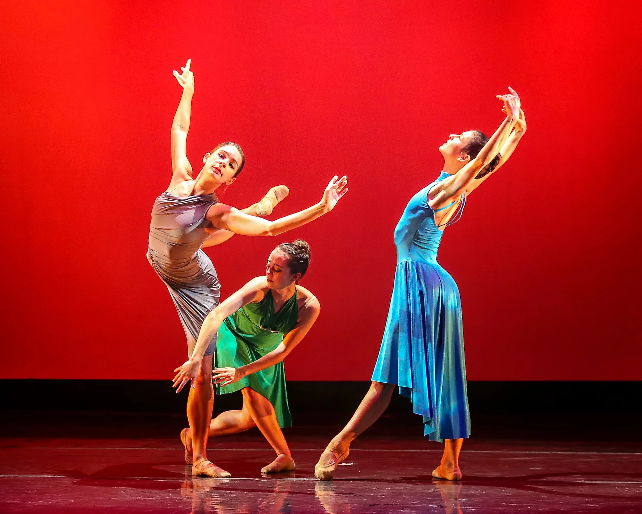 Performances — Madison Ballet