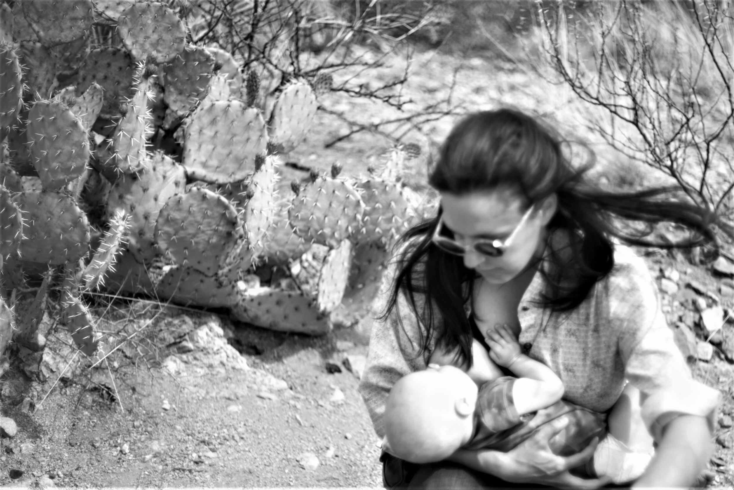 The Journal of Cornwall Contemporary Arts