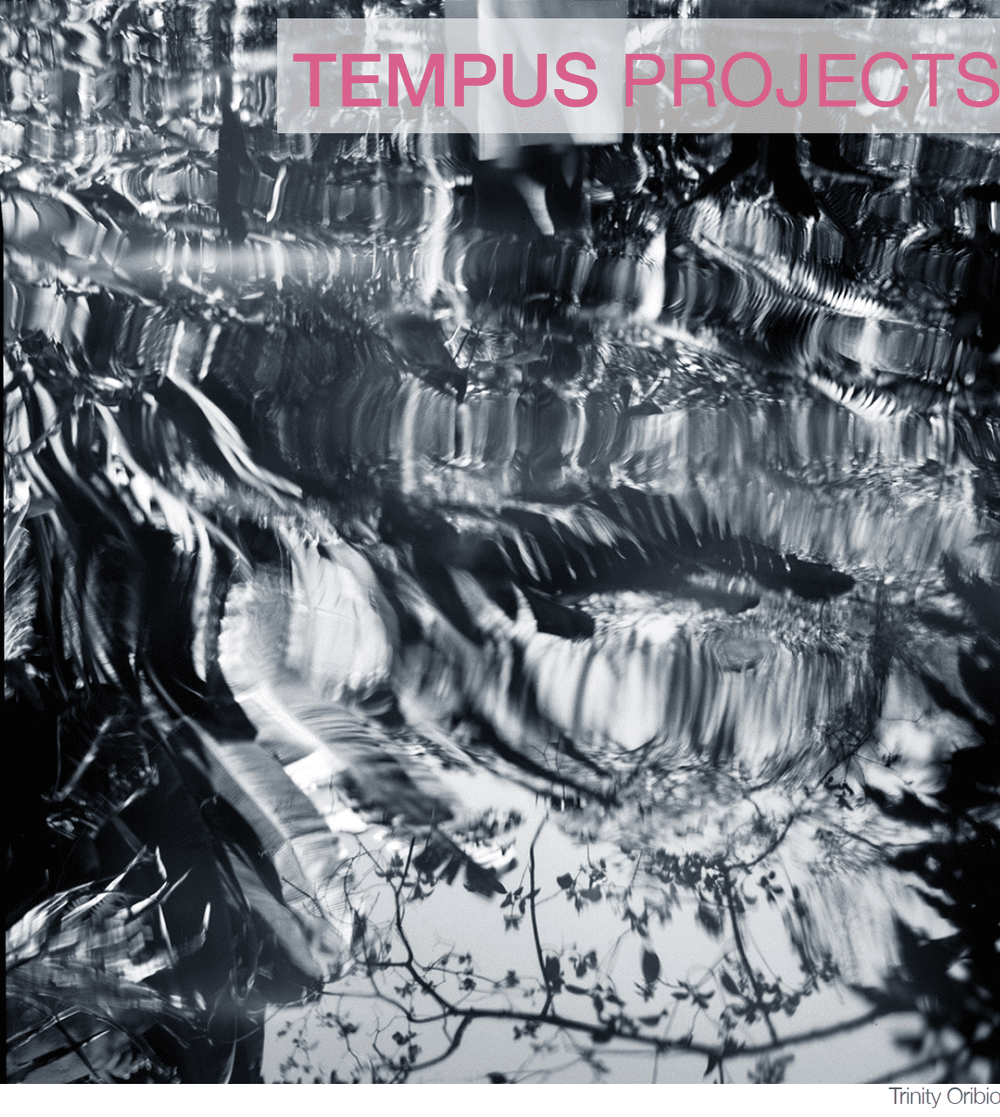 Tempus Projects
