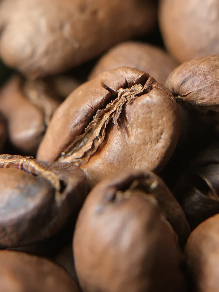 Roasting Defects — Hoos Coffee Consulting