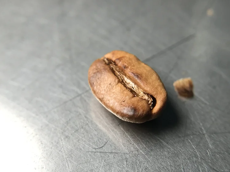Roasting Defects — Hoos Coffee Consulting