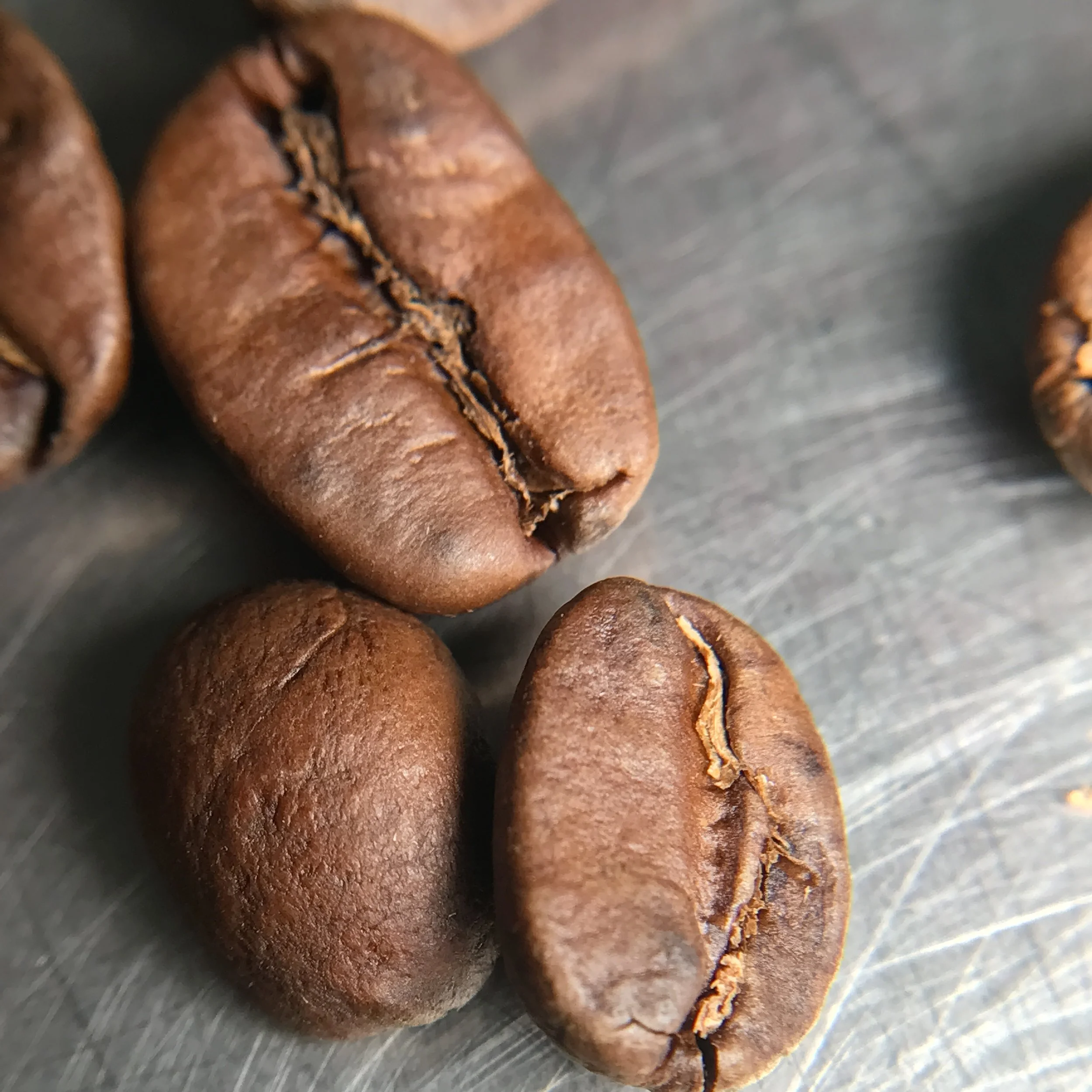 Roasting Defects — Hoos Coffee Consulting