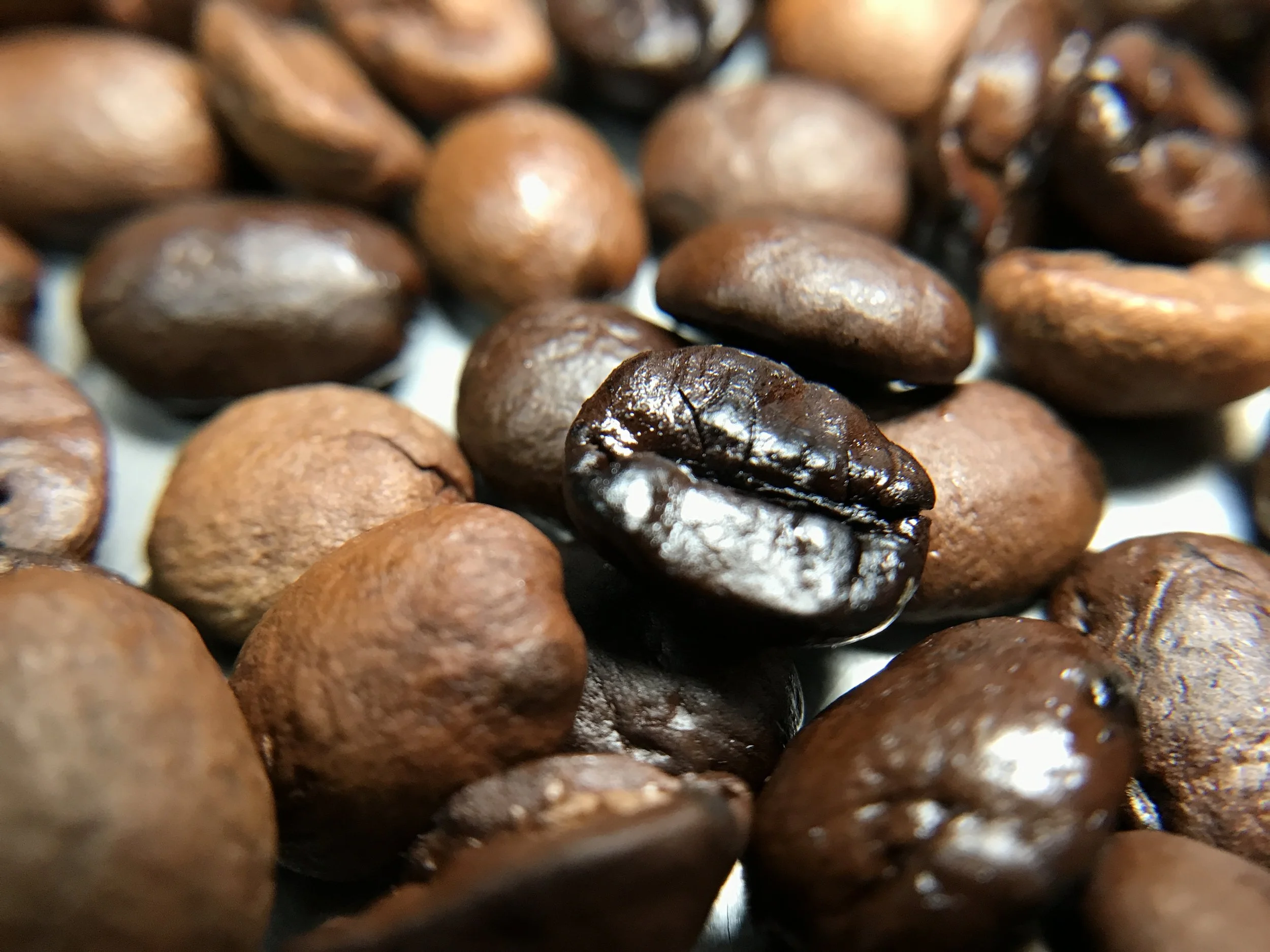 Roasting Defects — Hoos Coffee Consulting