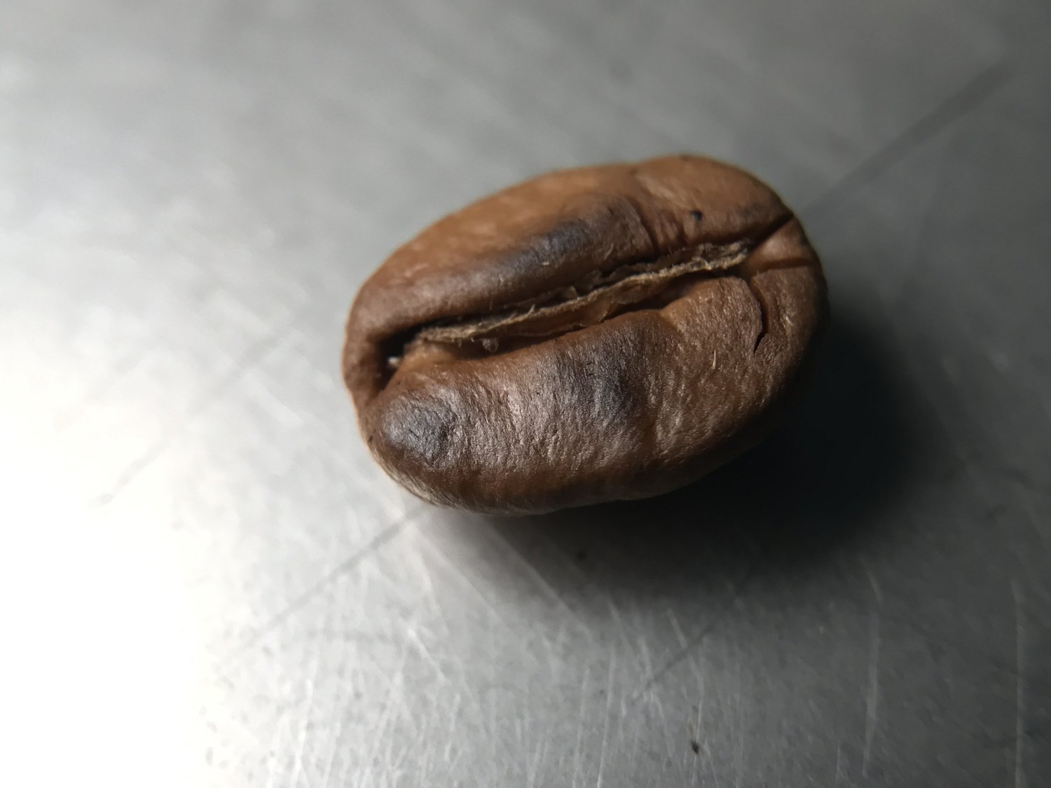 Roasting Defects — Hoos Coffee Consulting