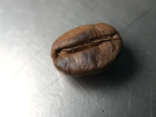 Roasting Defects — Hoos Coffee Consulting