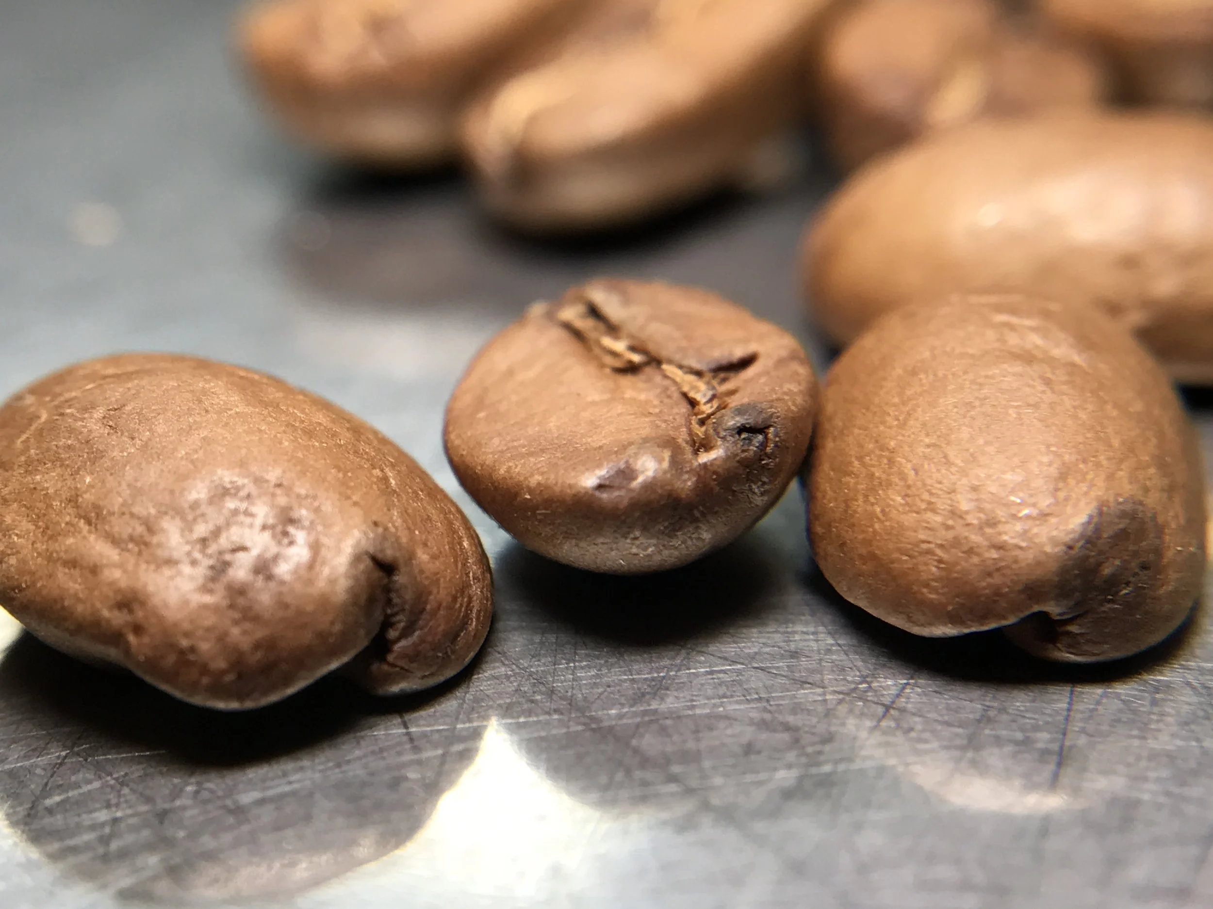Roasting Defects — Hoos Coffee Consulting