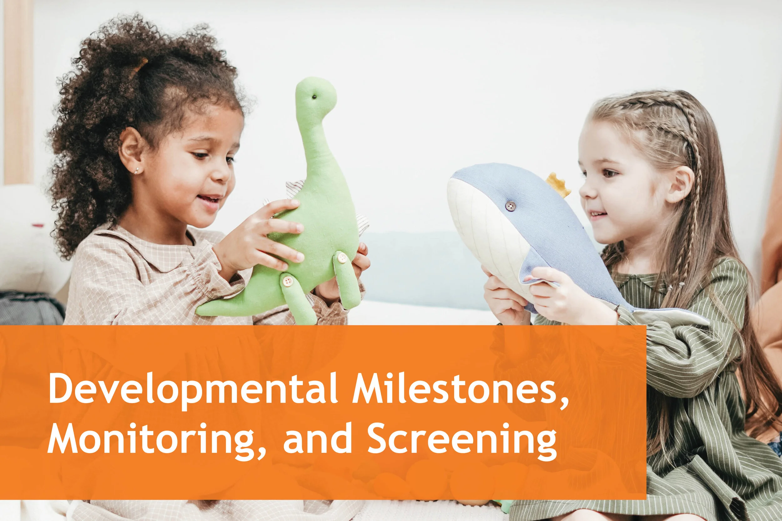 Developmental Monitoring, Screening, & Milestones — The Arc of ...
