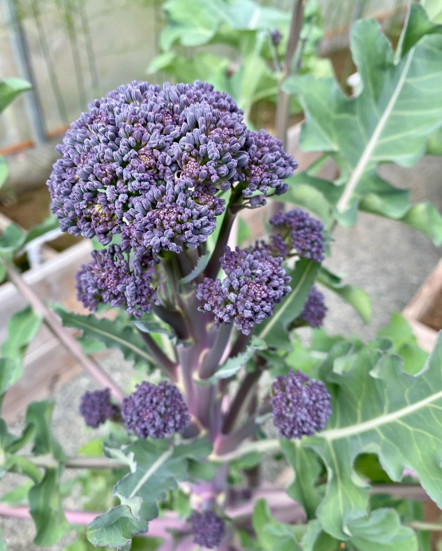 North Oregon Coast Real Estate News | Realtor Kate Merrell — Kate ...