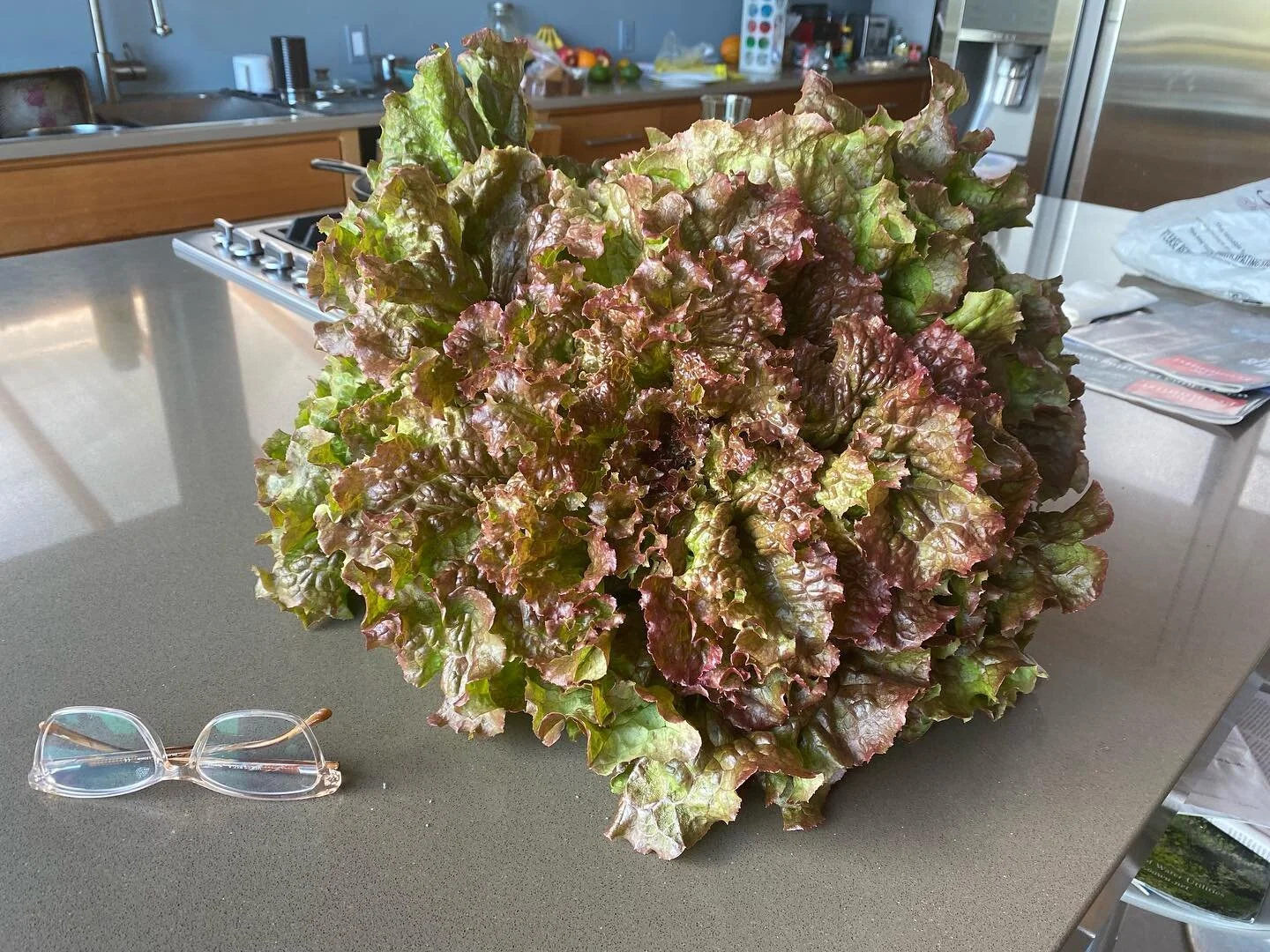 North Oregon Coast Real Estate News | Realtor Kate Merrell — Kate ...