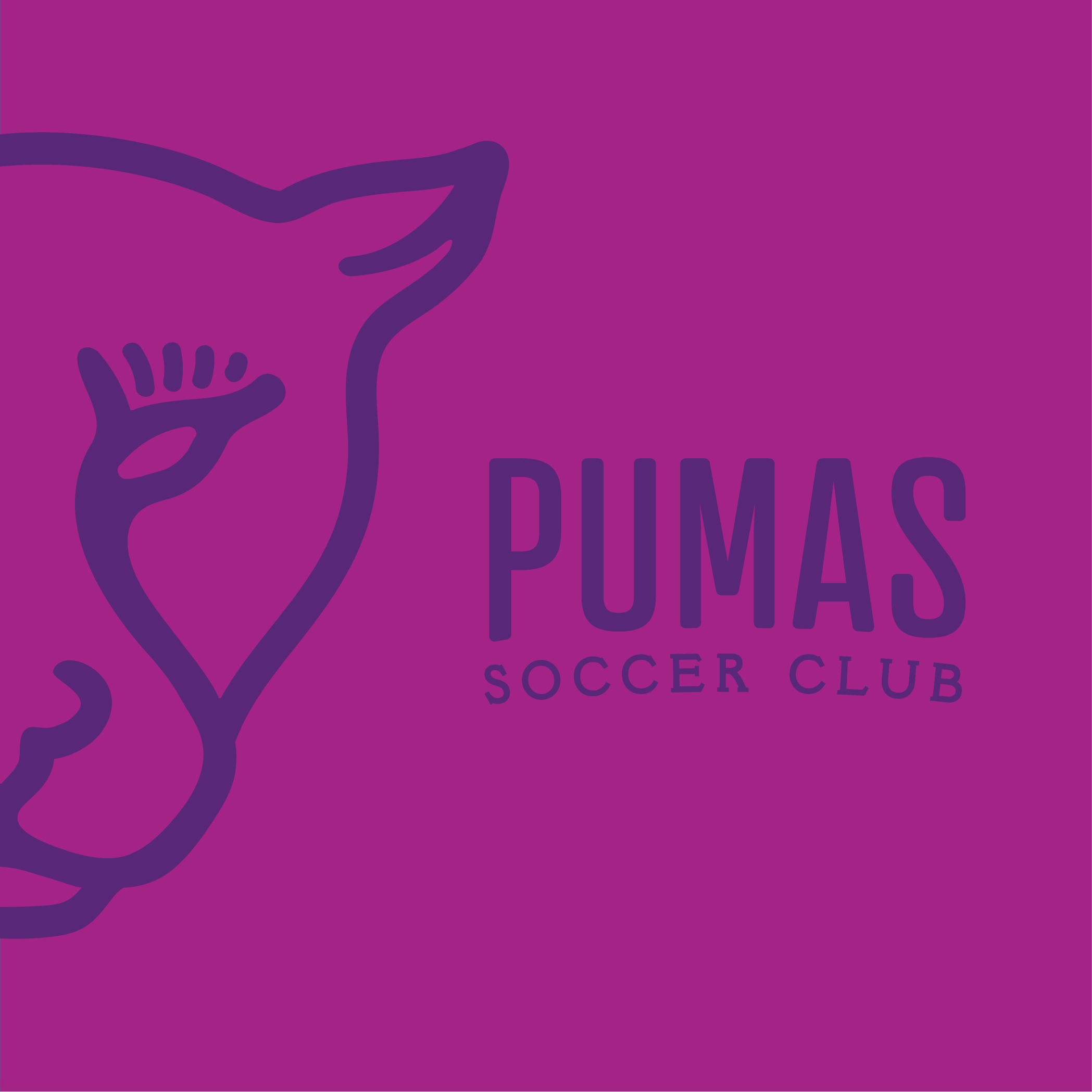 Puma Soccer Logo