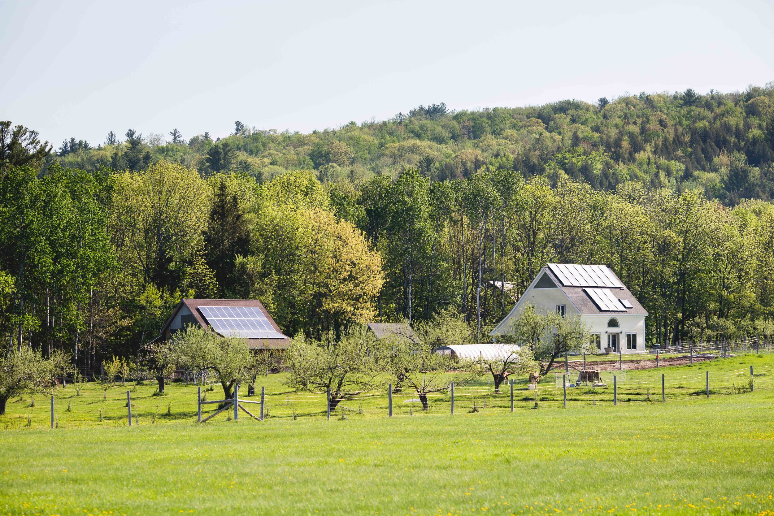 Morning Glory Farm Maine