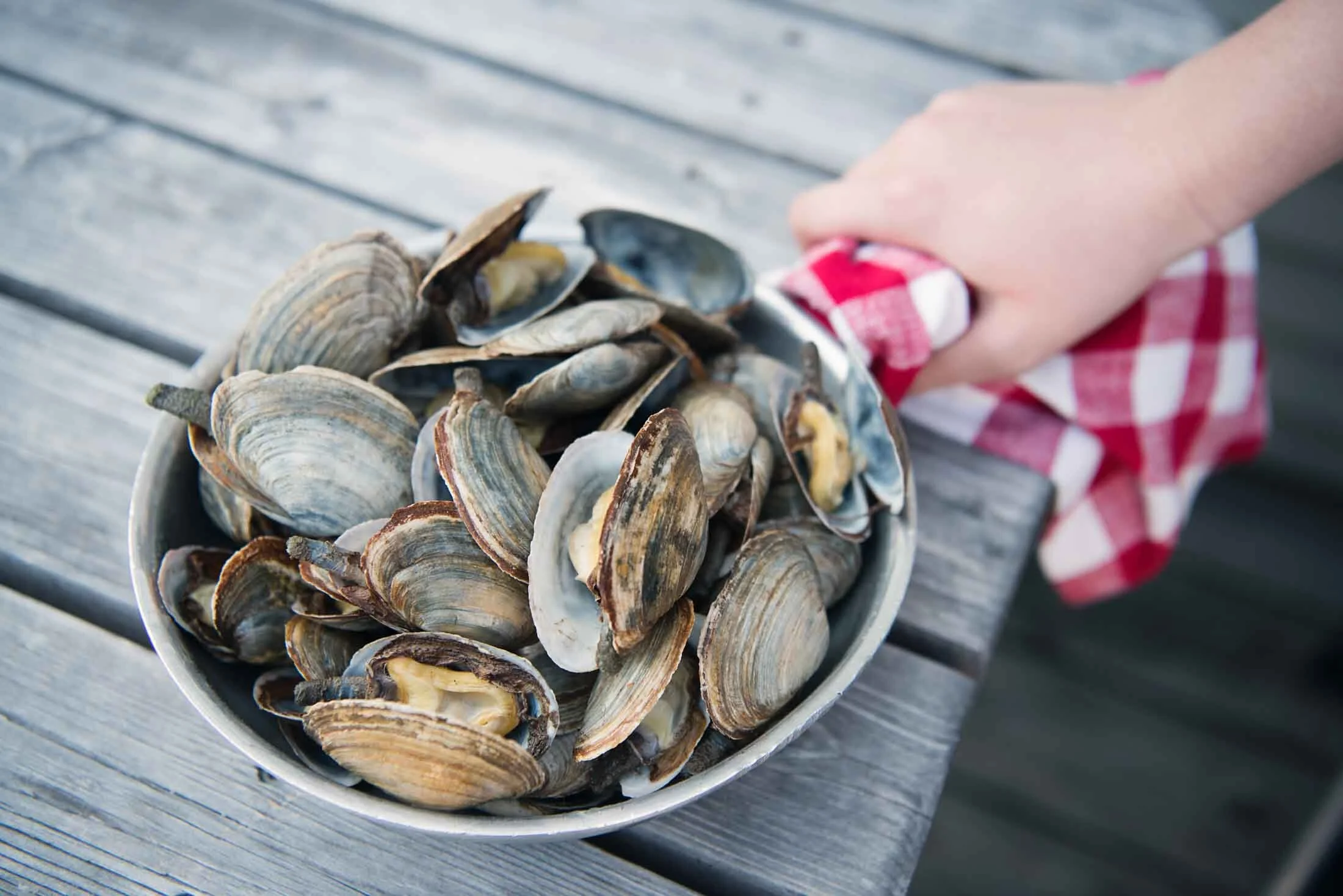 The Clam Shack | Seafood Dining & Market | Kennebunk, ME