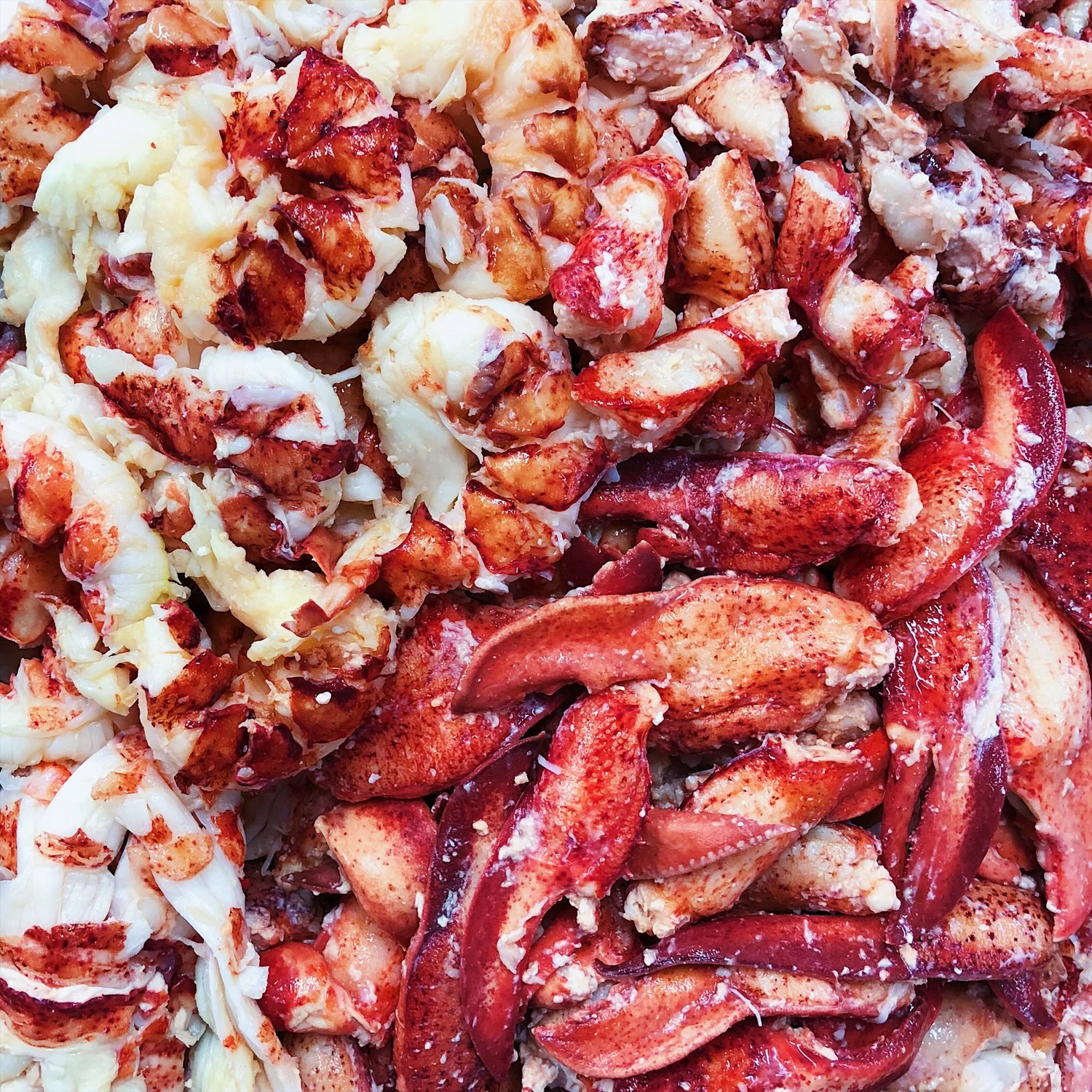 Lobster Roll Kit | The Clam Shack | Seafood Dining & Market | Maine
