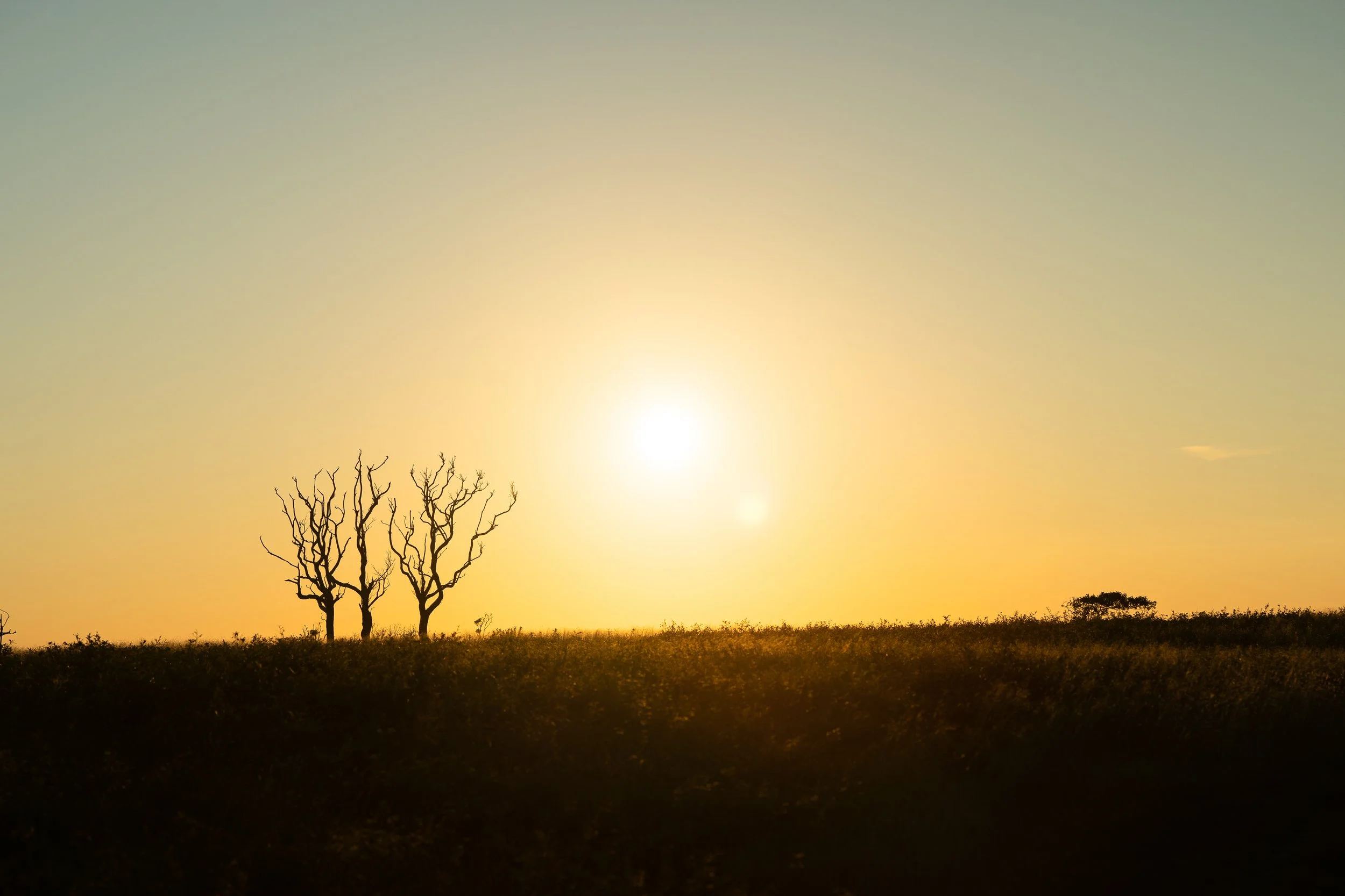 Adam Noya Photography