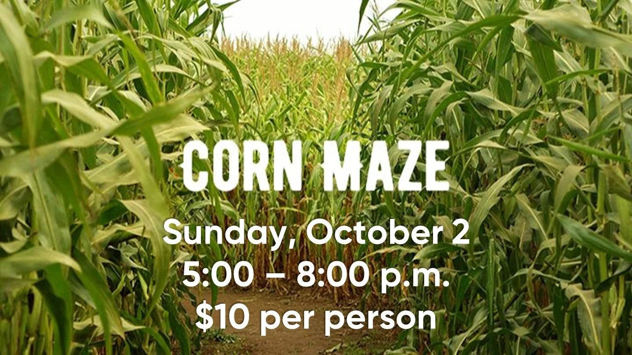 Whats Going On? — Calvary Lubbock