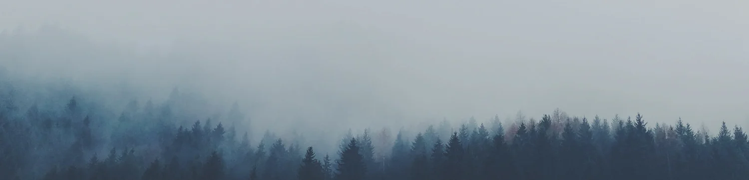 Forrest Hanson