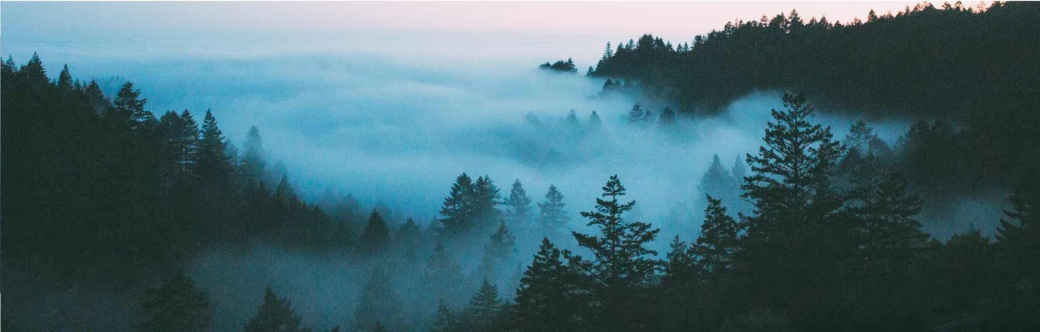 Being Well Podcast — Forrest Hanson