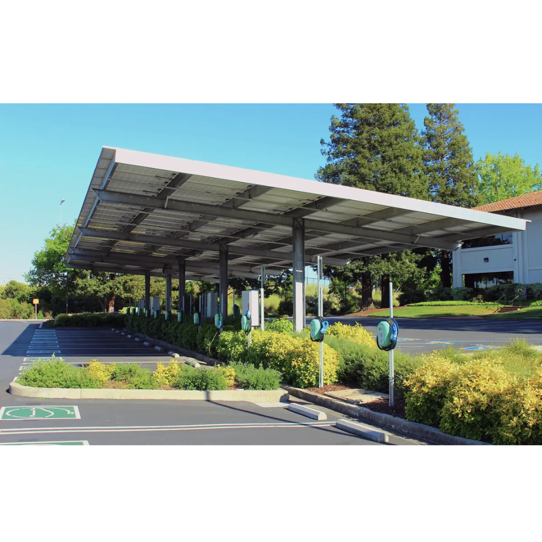 Vector Energy Group