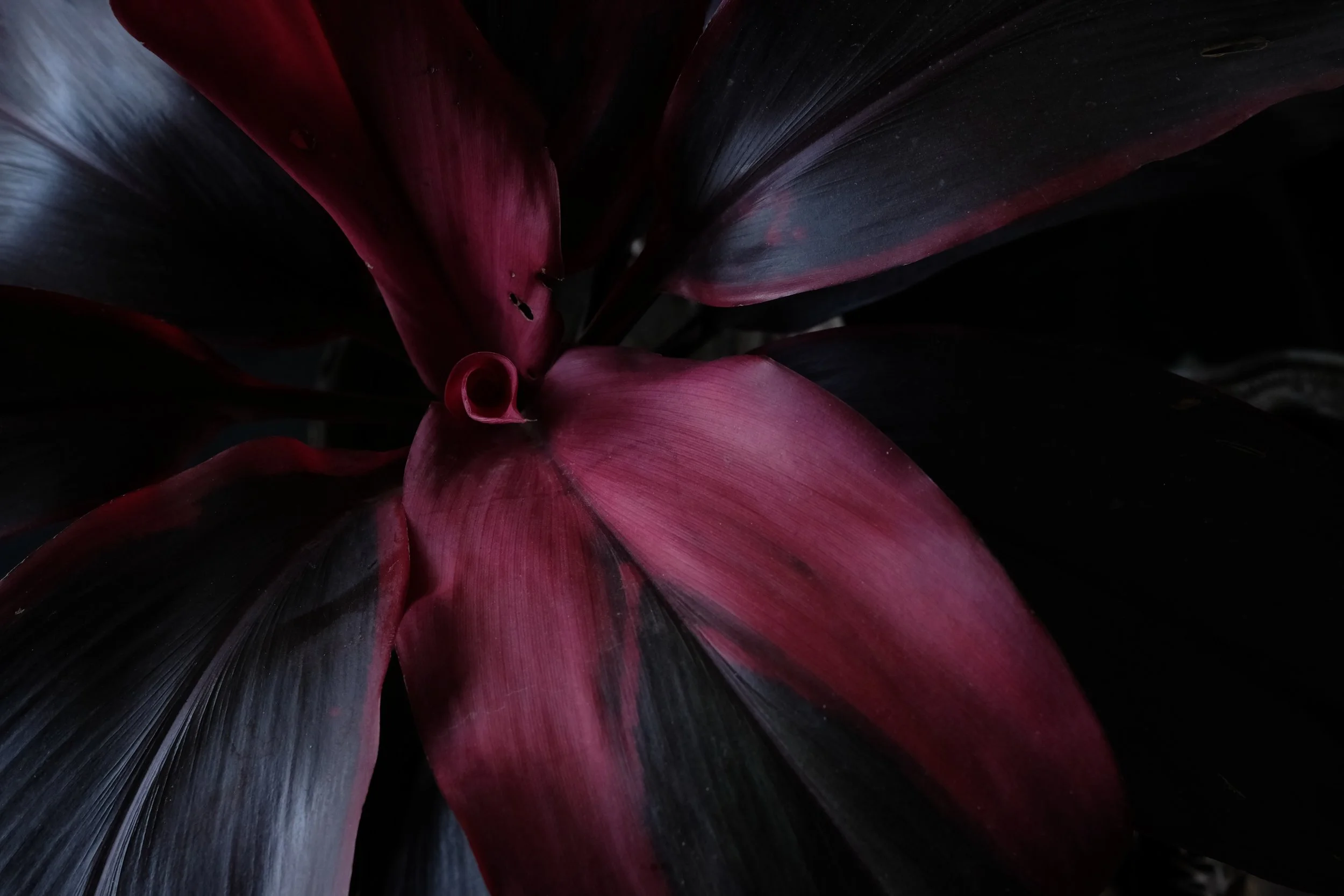 Jamie Stott | Squarespace Web Design