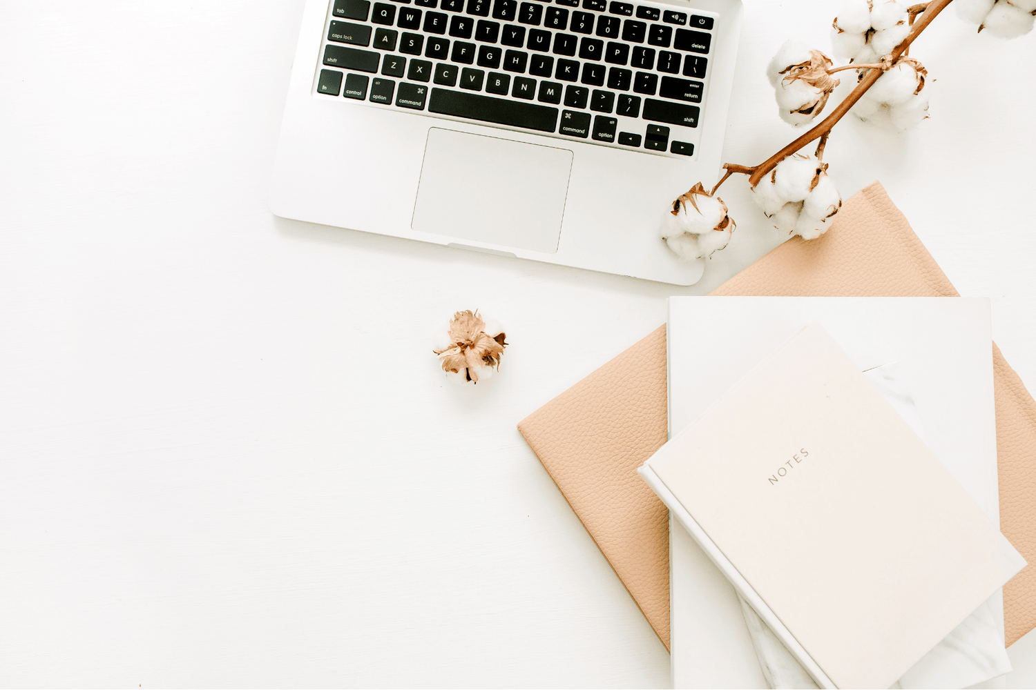 Jamie Stott | Squarespace Web Designer