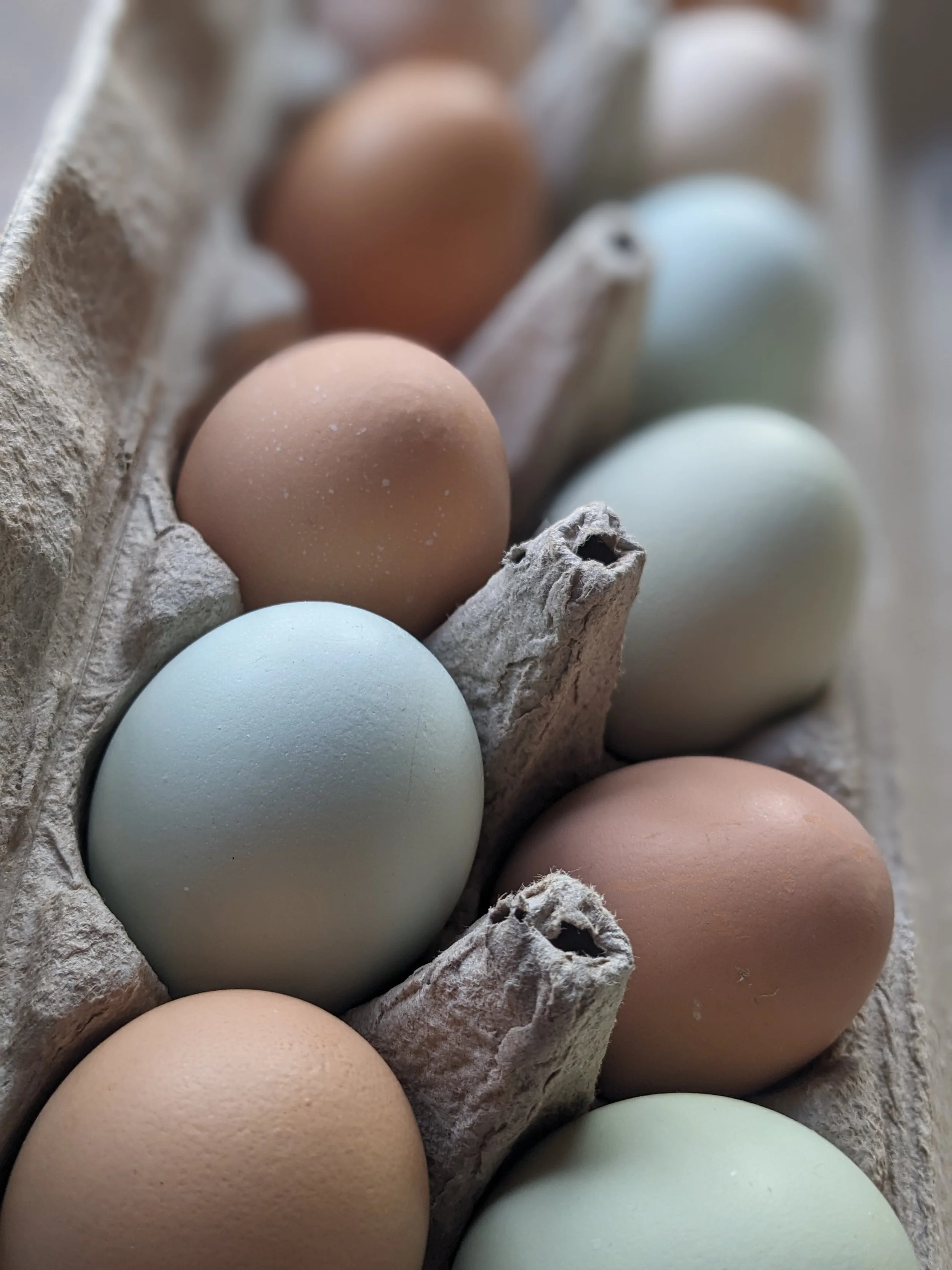 High-Quality Local Iowa Meat Delivered to Your Door. Grass Fed Angus ...