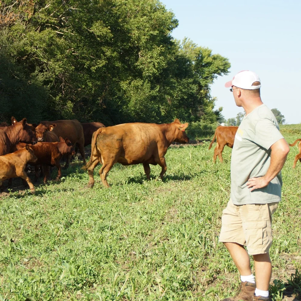 Our Farmers — FARM STORY MEATS