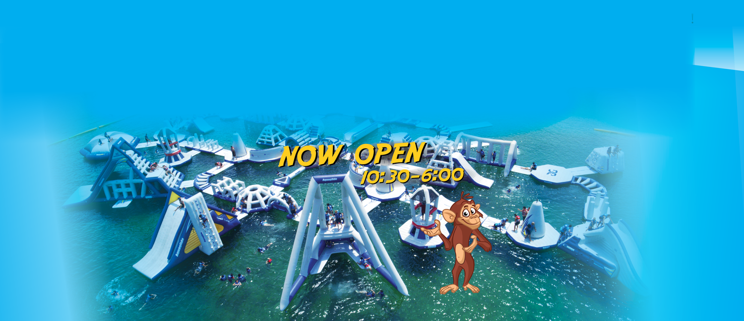 The Adventure Lagoon - Anaheim Water Park