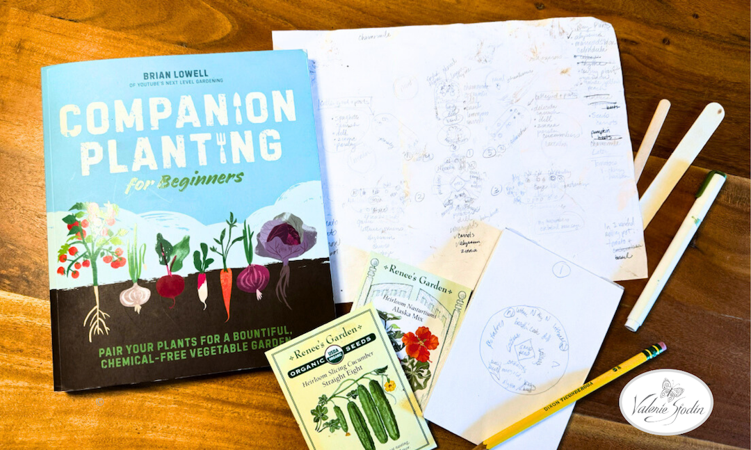 My Garden Journal - Art in Real Life #14 — Valerie Sjodin