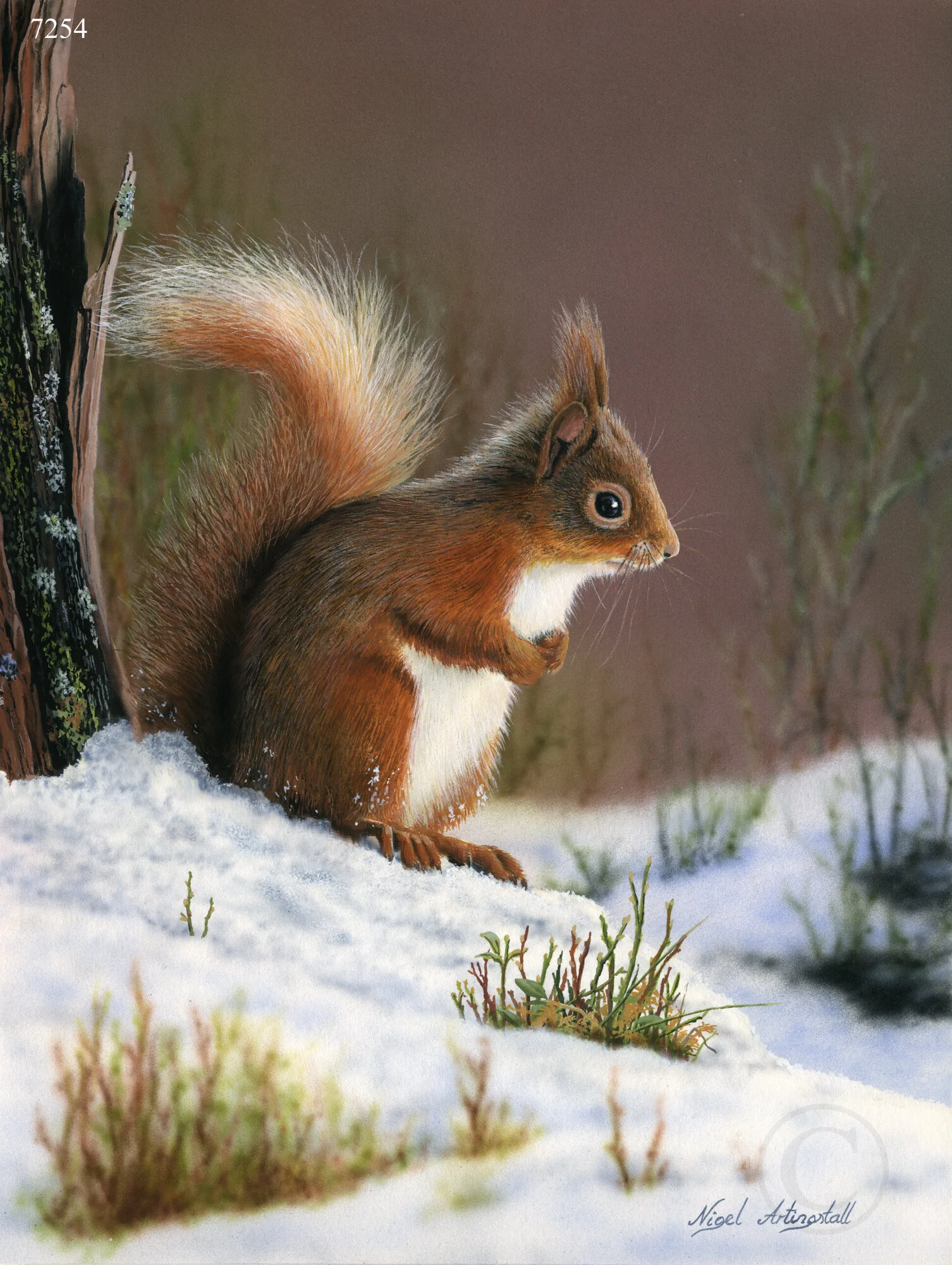 Original Paintings — Nigel Artingstall