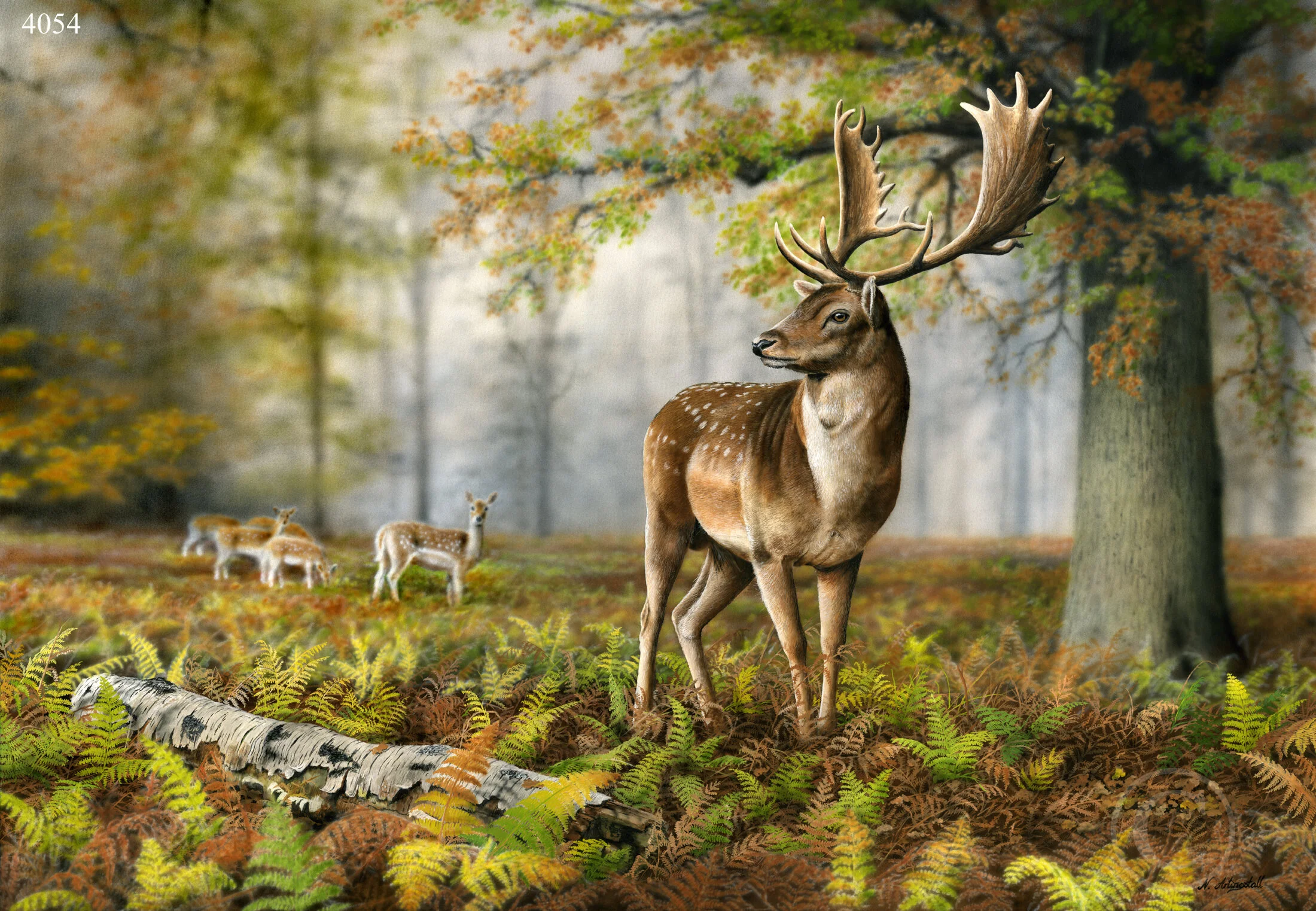 Original Paintings — Nigel Artingstall