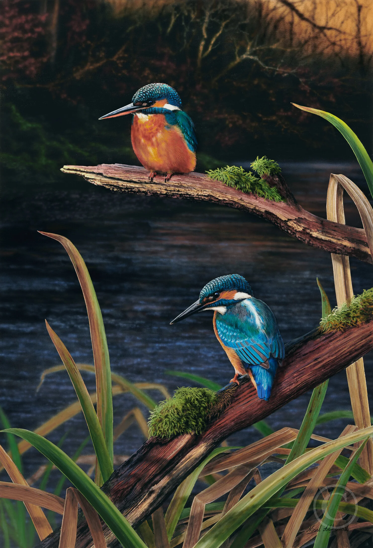 New Editions — Nigel Artingstall