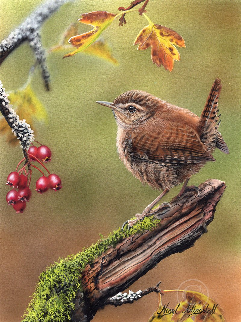 Original Paintings — Nigel Artingstall