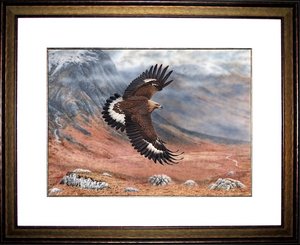 Original Paintings — Nigel Artingstall