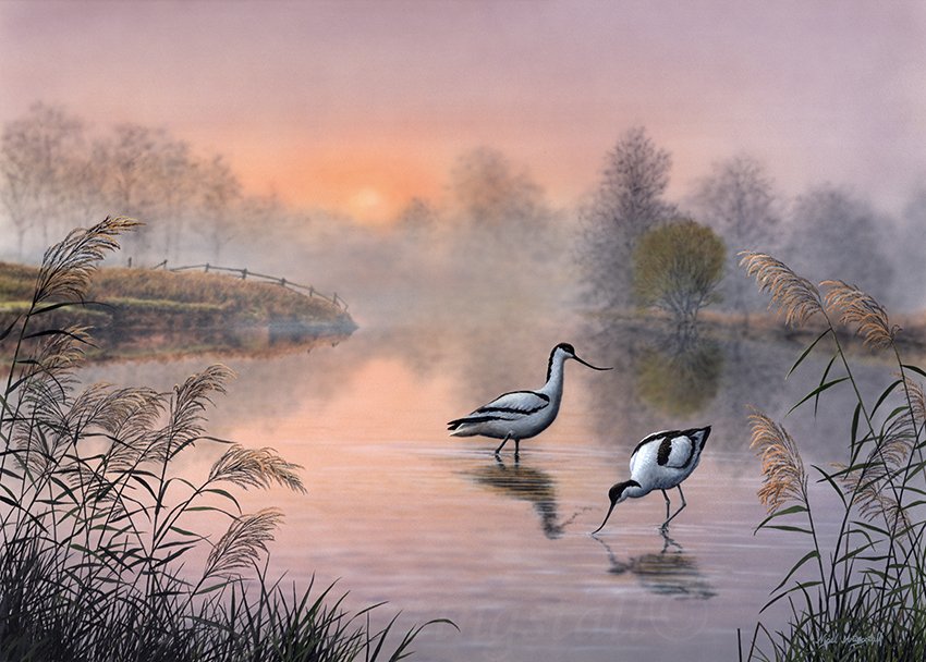 Original Paintings — Nigel Artingstall