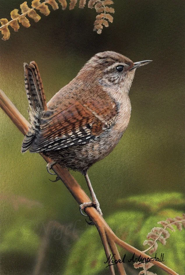 Original Paintings — Nigel Artingstall