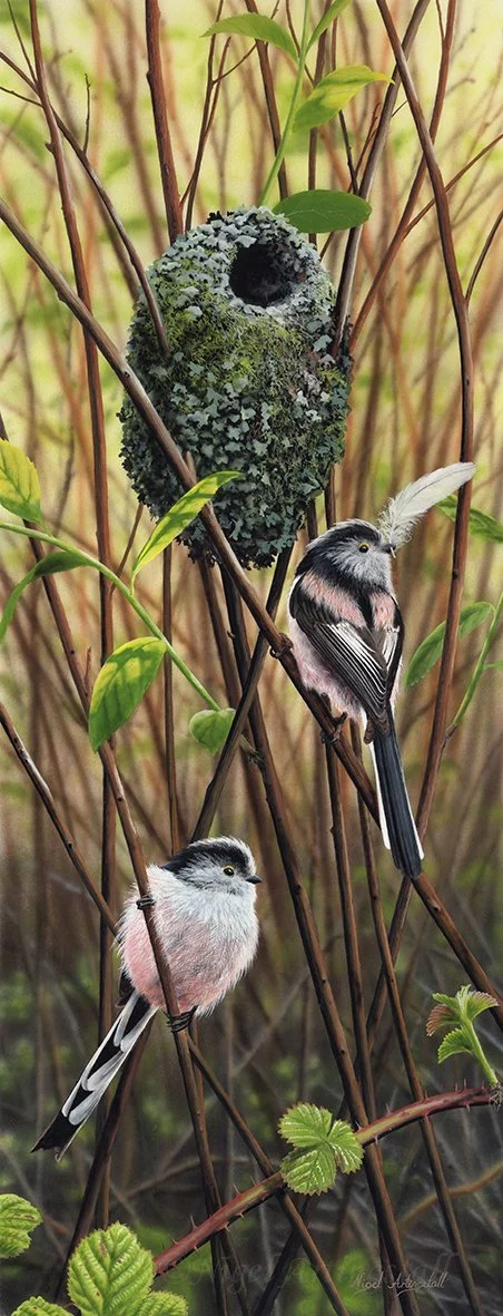 Original Paintings — Nigel Artingstall