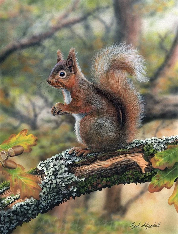 Original Paintings — Nigel Artingstall