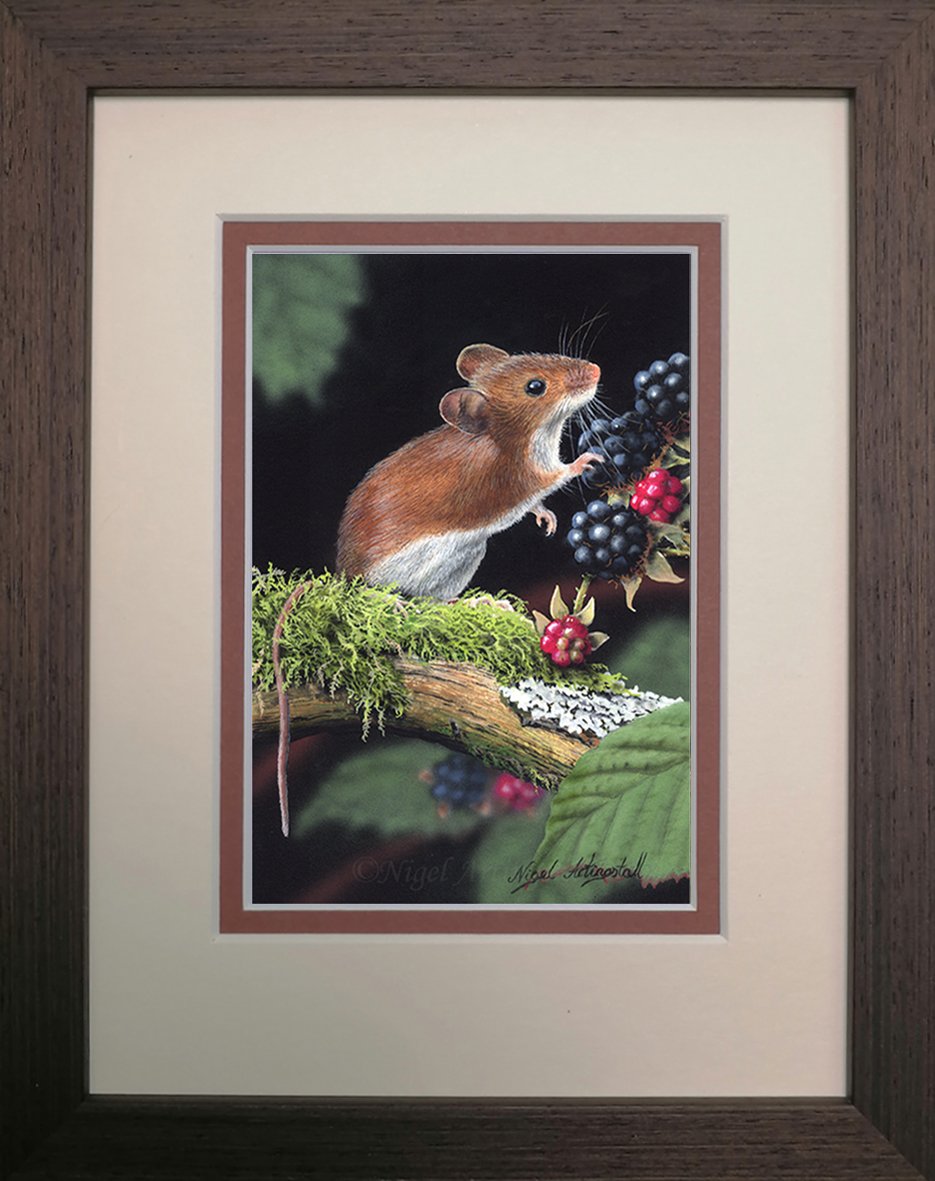 Original Paintings — Nigel Artingstall