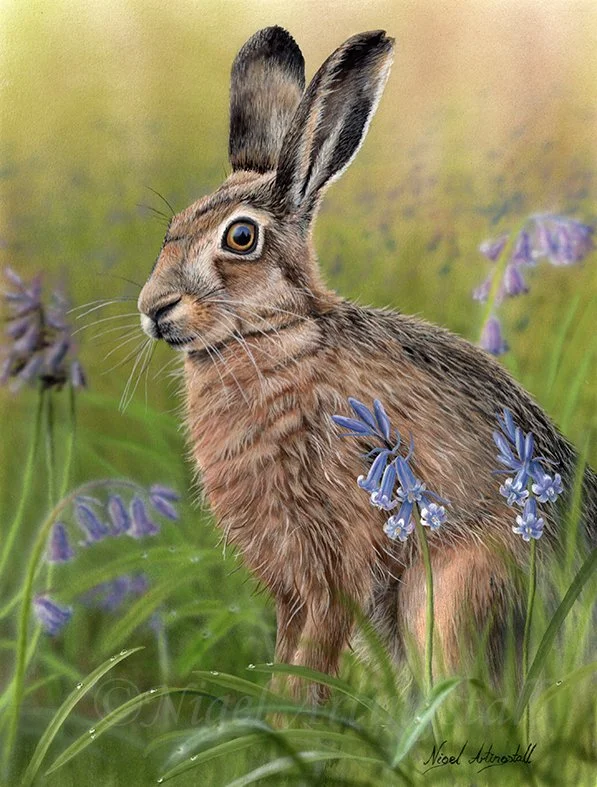 Original Paintings — Nigel Artingstall
