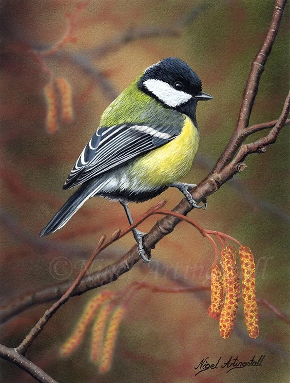Original Paintings — Nigel Artingstall